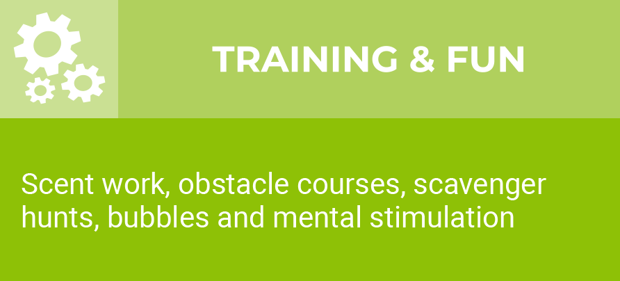 Wag Hotels | Dog, Cat and Pet Boarding, Day Care, Grooming, and Training