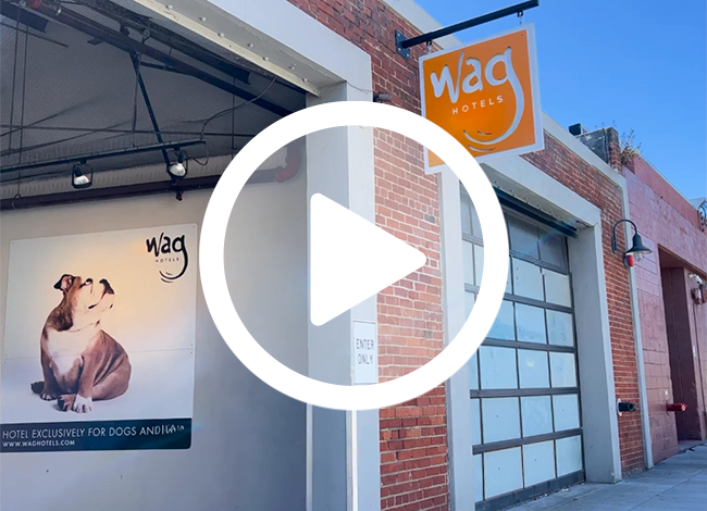 Wag Hotels | Dog, Cat and Pet Boarding, Day Care, Grooming, and Training